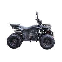 China 150cc 200cc 250cc 4 Stroke Gas Cuatrimoto Quad Bike Adults Four Wheelers for Farm Work for sale