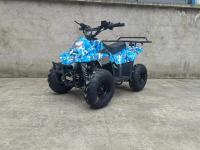 China 70CC/110CC Automatic Quad Fun toy ATV Buggy For Teens with 1 Cylinder and Affordable for sale