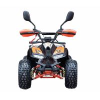 China 110CC 125CC Quad ATV for Adult With CE Approved and Minimum Grand Clearance 100-150mm for sale