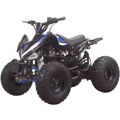 China 110cc 125cc 4 Stroke Chain Drive Four Wheeler Quad Bike with 145/70-6 Tire Size and CE for sale