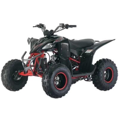 China 2WD Driving Type 125cc Four Wheeler ATV Bike with Chain Drive Transmission System for sale