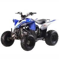 China 2WD Driving Type 125cc Four Wheeler ATV Bike with Chain Drive Transmission System for sale