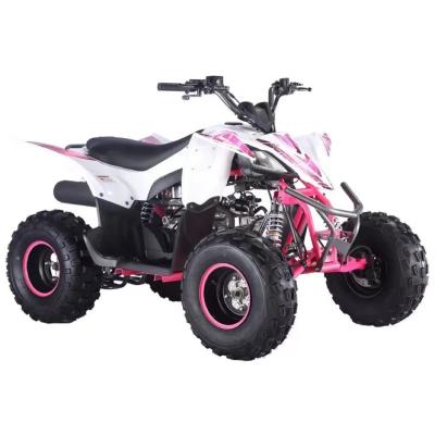 China 125cc Aotong Motor ATV Farm Quad Bike Automatic Transmission Custom Colors Supported for sale