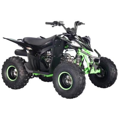 China 110cc 125cc ATV for Farm Kids 4-Stroke Engine Type No Differential Lock Included for sale