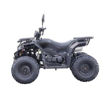 China Farm ATV Quad Bike 200cc ATV Wheeler Chain Drive Maximum Speed 50-75Km/h 250cc 300cc for sale