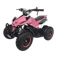China 4-Stroke Engine Type and Chain Transmission 49cc ATV for Kids at Best for sale