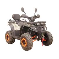 China 2WD Driving Type 1000W 4 Stroke Gas Cuatrimoto Quad Bike for Adults Backrest Included for sale
