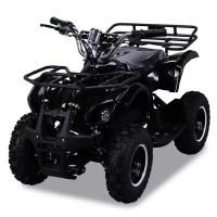 China 800W Electric Mini Kids Racing ATV With Rack Quad Bike Perfect for Grade Ability ≥25° for sale