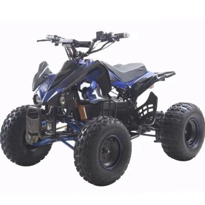 China Electric 4 Wheel Kids Quad Bike ATV with 1000W 48V/60V Shaft Drive Brushless Motor for sale