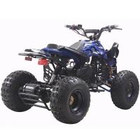 China Electric 4 Wheel Kids Quad Bike ATV with 1000W 48V/60V Shaft Drive Brushless Motor for sale