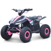 China Aotong 1000w 36V Kids Mini Electric Quad ATV Buggy with Brush Motor Outdoor Play for sale
