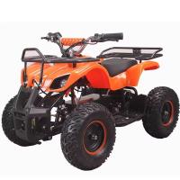 China 600-1000mm Wheelbase 36V 800W Mini Electric ATV with CE and CHAIN DRIVE Transmission for sale