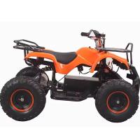 China 600-1000mm Wheelbase 36V 800W Mini Electric ATV with CE and CHAIN DRIVE Transmission for sale