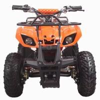 China 600-1000mm Wheelbase 36V 800W Mini Electric ATV with CE and CHAIN DRIVE Transmission for sale