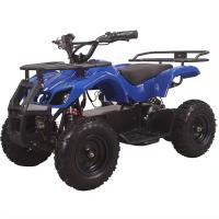 China 600-1000mm Wheelbase 36V 800W Mini Electric ATV with CE and CHAIN DRIVE Transmission for sale