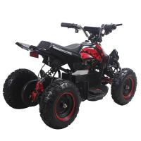 China Maximum Speed ≤50Km/h 36V 1000W Kids Ride On Car Electric ATVs with CE for sale