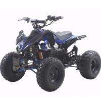 China 48v 1000w Shaft Drive E-ATV with Brushless Motor and Minimum Grand Clearance of 150-200mm for sale