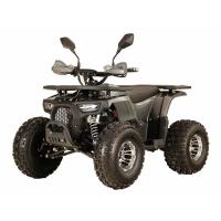 China Experience the Ultimate Off-Road Ride with 1000W Electric ATV Shaft Drive Quadricycle for sale