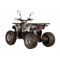 China Electric 1500w Off Road Adults Farm Buggy with Disc Brake and Grade Ability ≥25° for sale