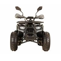China Electric 1500w Off Road Adults Farm Buggy with Disc Brake and Grade Ability ≥25° for sale