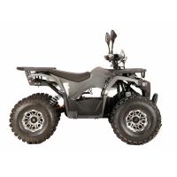 China Electric 1500w Off Road Adults Farm Buggy with Disc Brake and Grade Ability ≥25° for sale