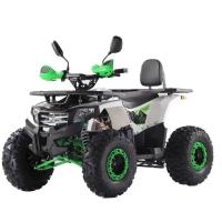 China Front disc Rear dsic Brake System Electric Atv Adult 1500 watt 2WD Driving Type 2024 for sale