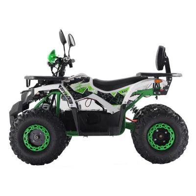 China 2WD Driving Type Aotong Motor 1000W Electric Side by Side ATV with 60V 20AH Battery for sale