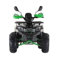 China Disc Brake 1200W/1500W 60V Four Wheeler Electric ATV with Customized Colors Supported for sale