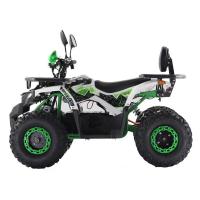 China Disc Brake 1200W/1500W 60V Four Wheeler Electric ATV with Customized Colors Supported for sale