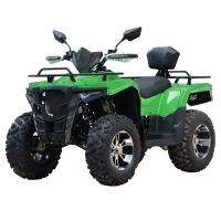 China 300cc 2WD 4WD ATV Quad Bike Cuatrimoto with Electric Start and Chain Transmission for sale