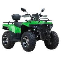 China 300cc 2WD 4WD ATV Quad Bike Cuatrimoto with Electric Start and Chain Transmission for sale