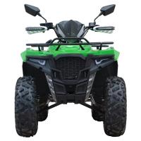 China 300cc 2WD 4WD ATV Quad Bike Cuatrimoto with Electric Start and Chain Transmission for sale