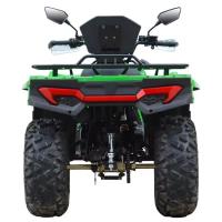 China 300cc 2WD 4WD ATV Quad Bike Cuatrimoto with Electric Start and Chain Transmission for sale