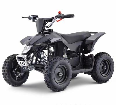 China Affordable 49CC ATV Made in with Chain Transmission and No Differential Lock for sale