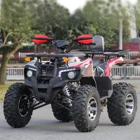 China DISC Brake 150CC/200CC/250CC Quad Suitable for Customer Requirements for sale