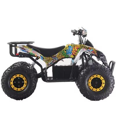 China Customized Colors 1000W/1500W ATV Quads with Ft Disc Rr Disc Brake for sale