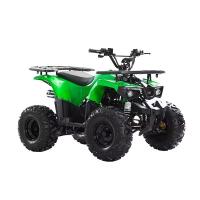 China 125CC 4 Stroke ATV Four Wheeler Quad Bike with 1 Cylinder and Wheelbase 600-1000mm for sale