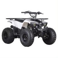 China 125CC 4 Stroke ATV Four Wheeler Quad Bike with 1 Cylinder and Wheelbase 600-1000mm for sale