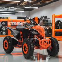 China 2WD Aotong Motor 800w1000W 36V Off Road Quad ATV Quad Bikes with Chain Transmission for sale