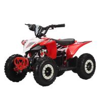 China 2WD Aotong Motor 800w1000W 36V Off Road Quad ATV Quad Bikes with Chain Transmission for sale