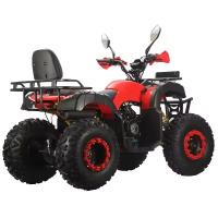 China 1790*1100*1100MM Size Farm ATV Gas Motorcycles Automatic Transmission Type for Adults for sale