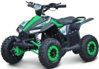 China Maximum Torque of 40-60Nm 1000W Electric Side by Side ATV for Unbeatable Performance for sale