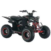 China Lightweight Off Road CVT Racing ATV with 4-Stroke Engine Type and ≤100kg Curb Weight for sale