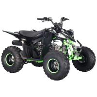 China Lightweight Off Road CVT Racing ATV with 4-Stroke Engine Type and ≤100kg Curb Weight for sale
