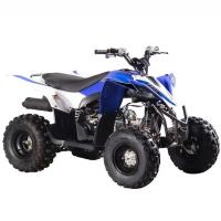 China Lightweight Off Road CVT Racing ATV with 4-Stroke Engine Type and ≤100kg Curb Weight for sale