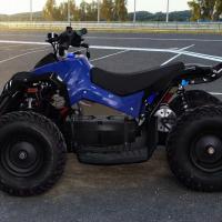 China 1000W 36V 48V Chain Drive ATV Designed for Minimum Grand Clearance ≤100mm Performance for sale