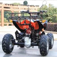 China 800w/1000w 48v/60v ATV Brushless Motor Electric 4 Wheel Quad Bike ATV for Smooth Ride for sale