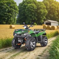 China 250cc Racing ATV with Automatic Transmission and 150-200mm Minimum Grand Clearance for sale