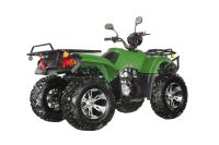 China 250cc Racing ATV with Automatic Transmission and 150-200mm Minimum Grand Clearance for sale