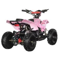China 2WD Electric Toy ATVs for Kids 5-7h Charge Time Satisfaction Guaranteed for sale